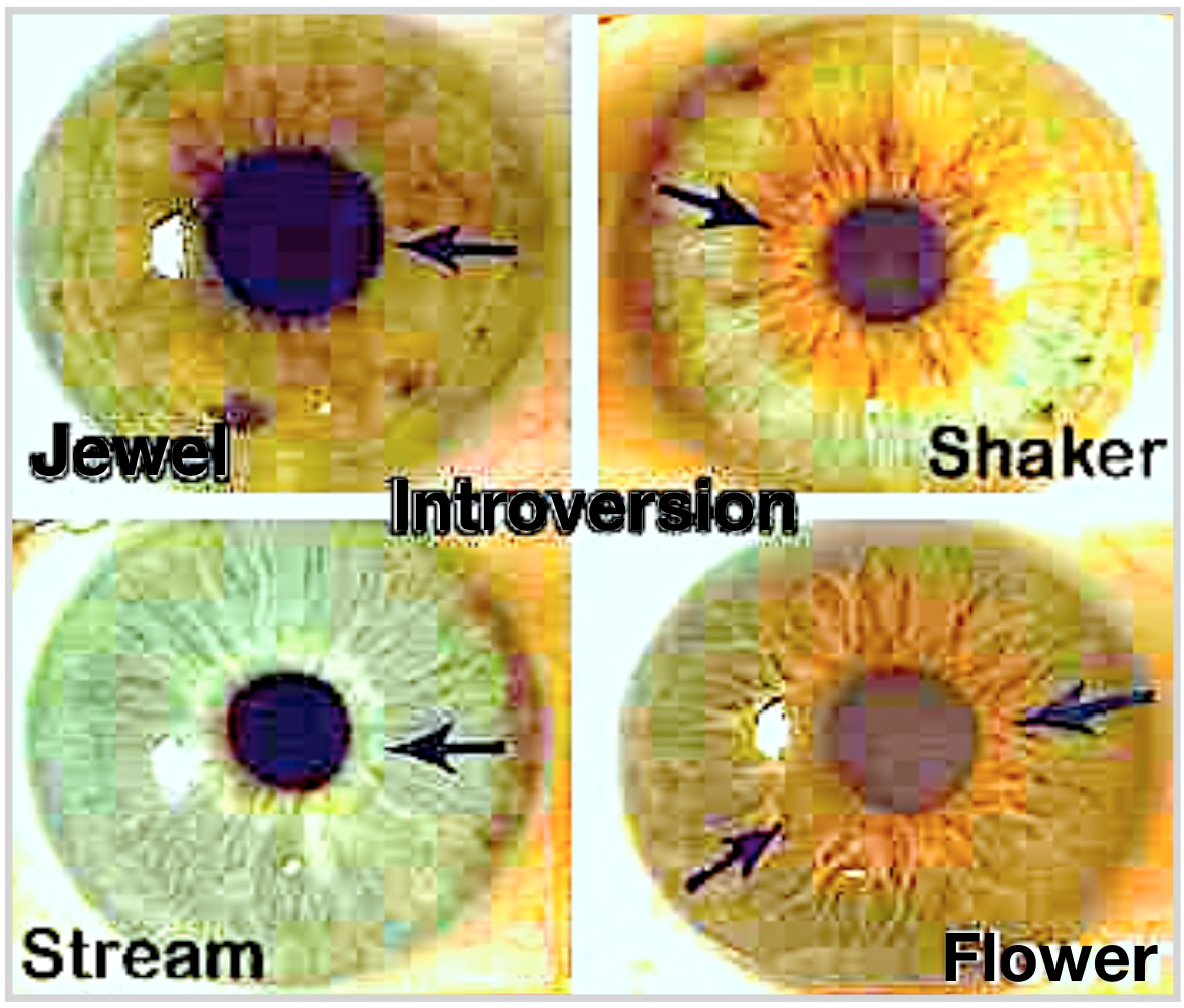 MBTI – Introvert vs Extrovert ANATOMY (Part 2) | HEAL & GROW for ACoAs