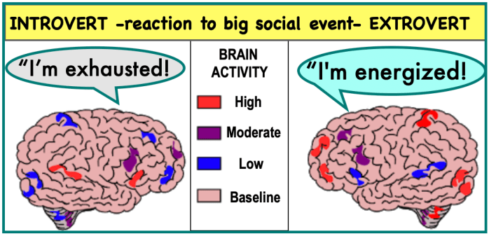 MBTI – Introvert vs Extrovert BRAINS (Part 2) | HEAL & GROW for ACoAs