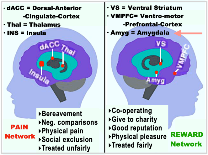 MBTI – Introvert vs Extrovert ANATOMY (Part 1) | HEAL & GROW for ACoAs