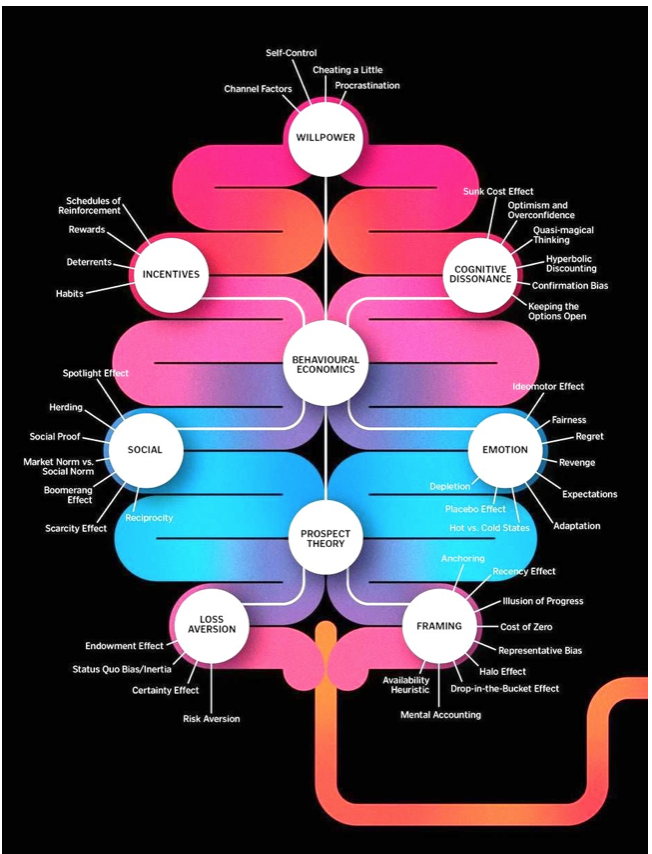 MBTI & Nardi : Brain ACTIVITY (#2) | HEAL & GROW for ACoAs