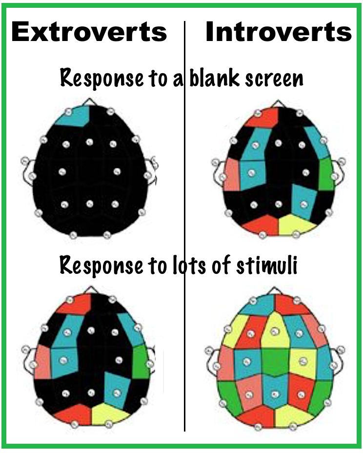 MBTI & Nardi : Brain ACTIVITY (#1) | HEAL & GROW for ACoAs