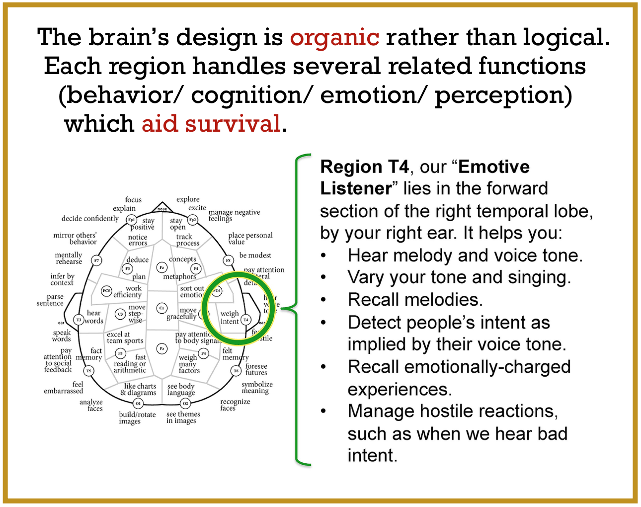 MBTI & Nardi : Brain ACTIVITY (#4) | HEAL & GROW for ACoAs