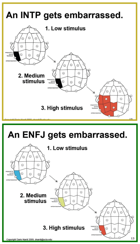 MBTI & Nardi : Brain ACTIVITY (#4) | HEAL & GROW for ACoAs