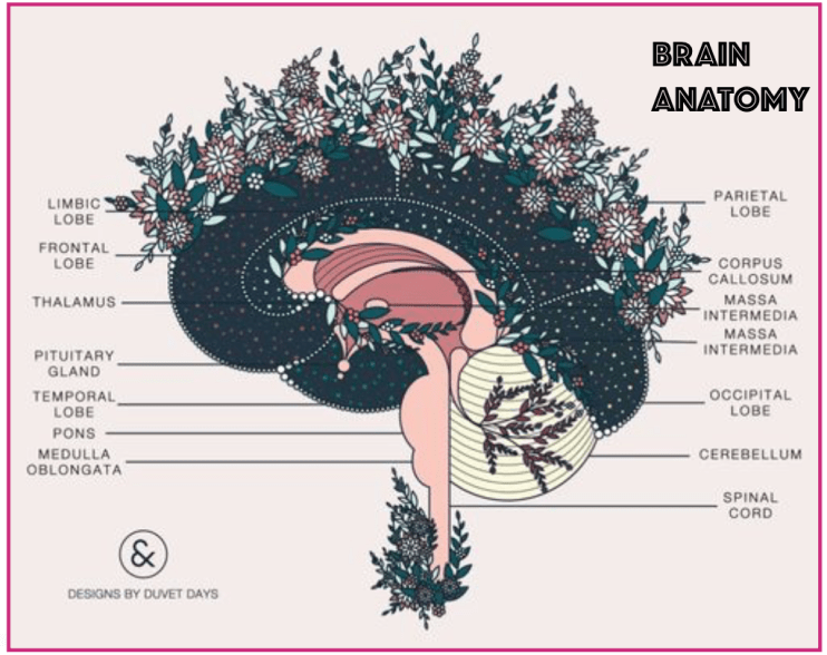 MBTI & Nardi : Brain ACTIVITY (#5) | HEAL & GROW for ACoAs
