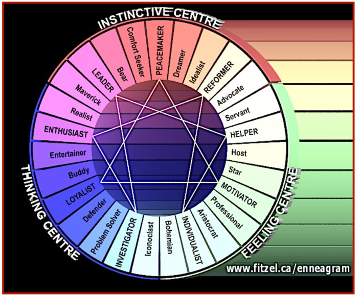 Enneagram : The 3 SUBTYPES – Intro (#1) | HEAL & GROW for ACoAs