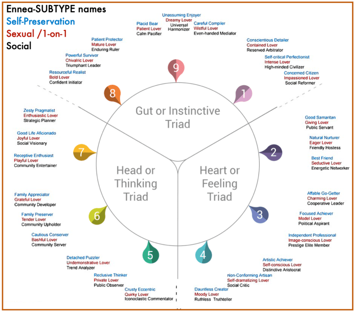 Enneagram : The 3 SUBTYPES – Intro (#2) | HEAL & GROW for ACoAs