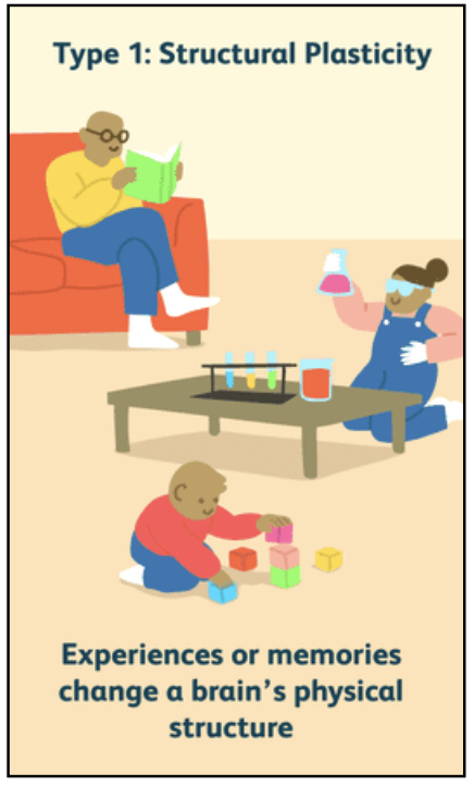 NEURO-PLASTICITY : Retraining the BRAIN | HEAL & GROW for ACoAs