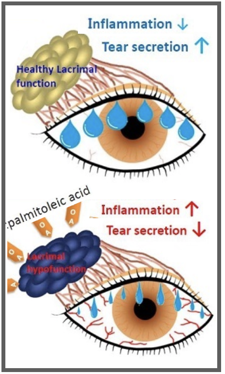 HEAL & GROW for ACoAs | ACoA Recovery Issues (adult-children of ...
